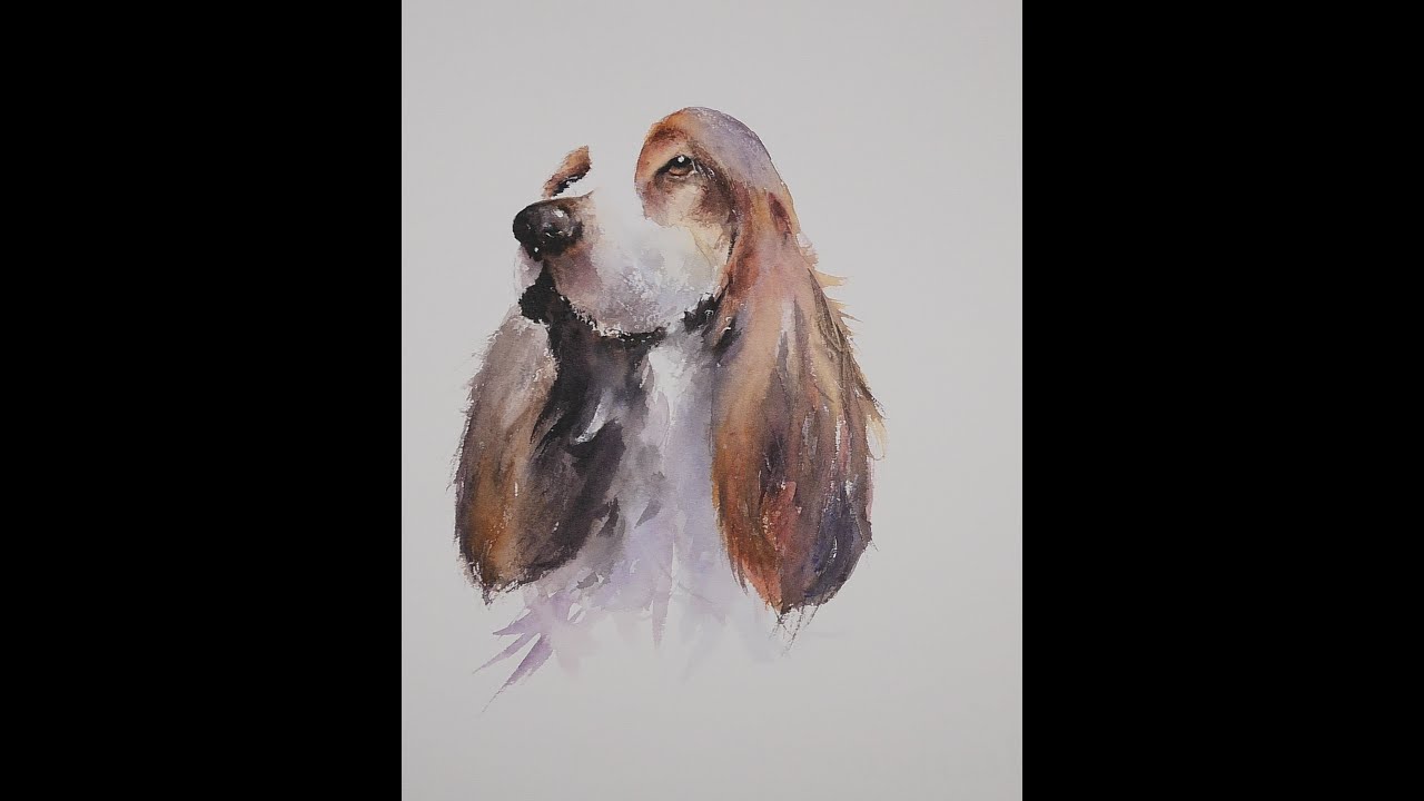 Spaniel Dog in Watercolours - YouTube