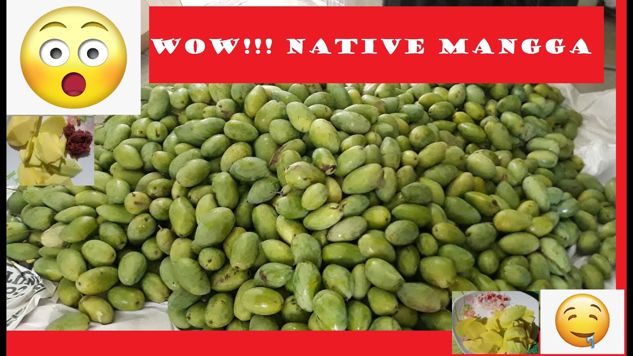 Native Mangga - YouTube