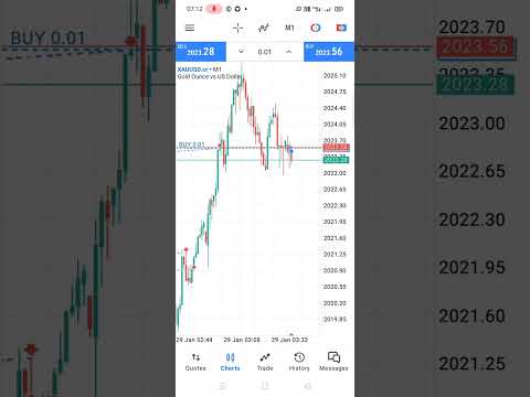 GOLDEN Bulls self trading process meta5 app - YouTube