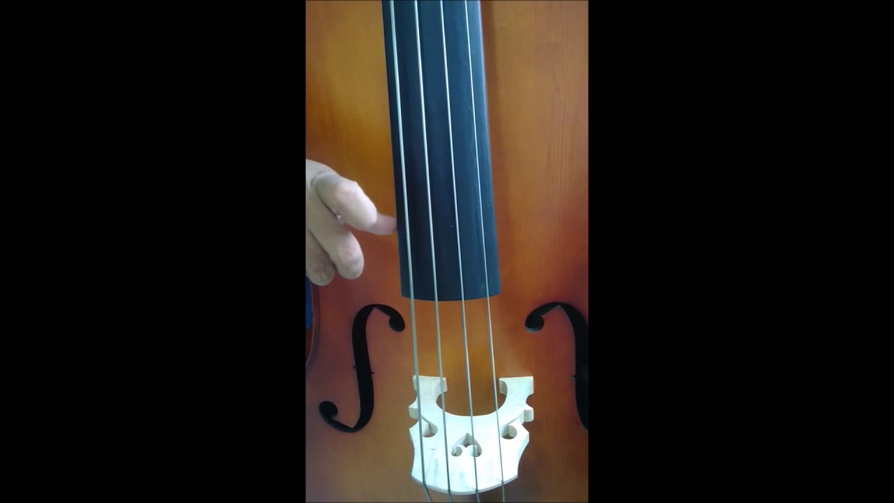 Técnica pizzicato - Contrabajo - YouTube