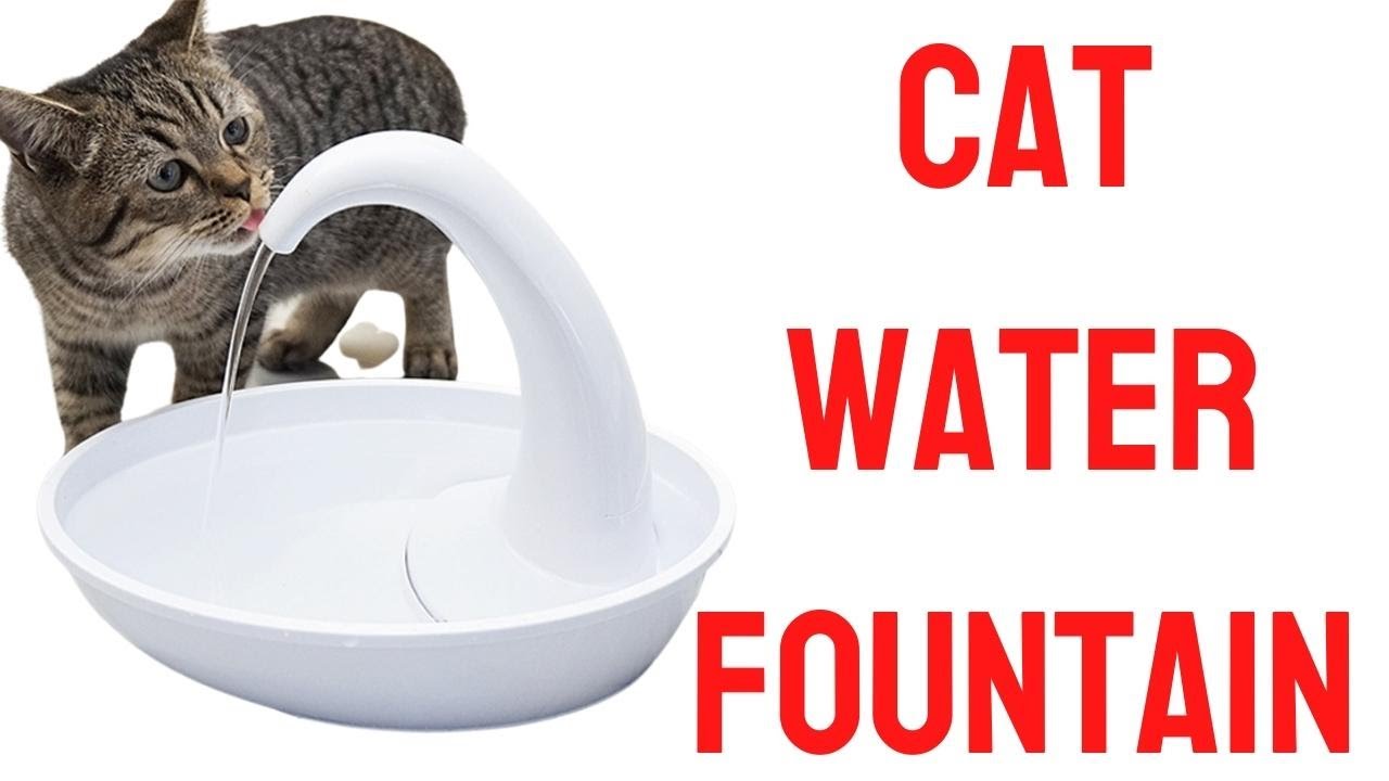 High Tech Cat Gadgets | Smart cat Gadgets INVENTION 2022 | Cat Gadgets ...