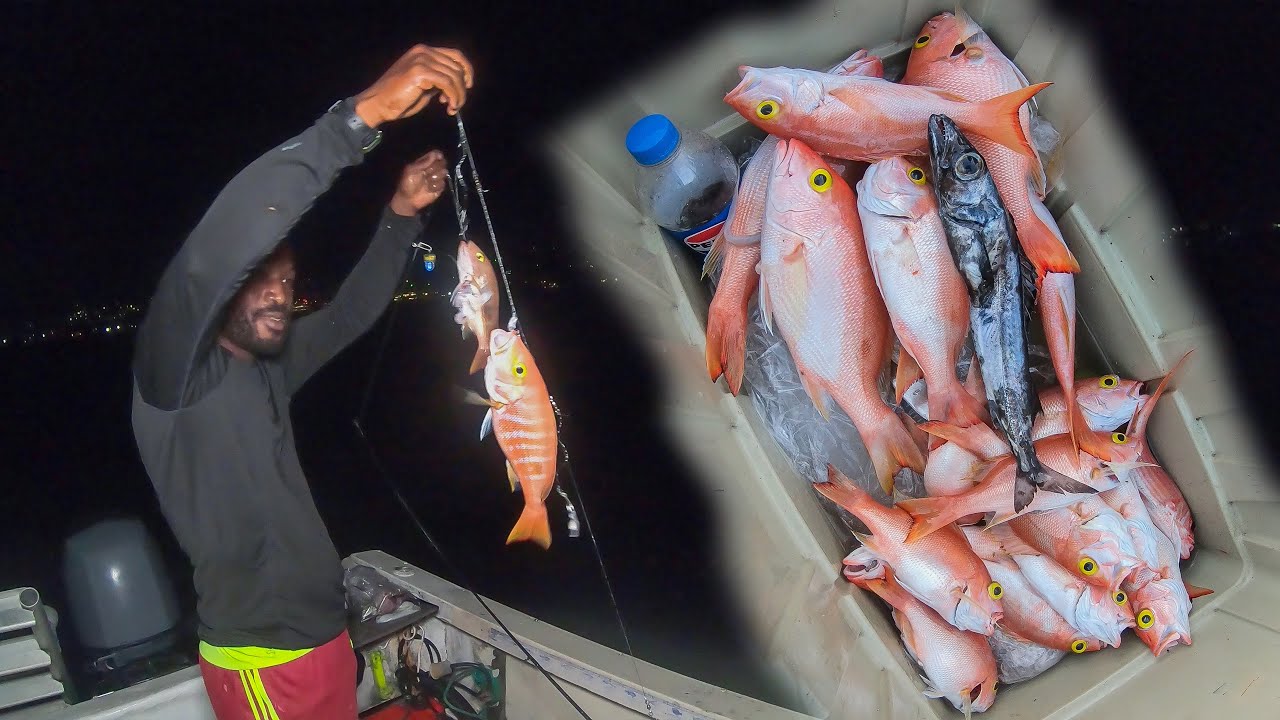 Night Fishing Goes Good For Fishermen Nice Snappers Catch - YouTube
