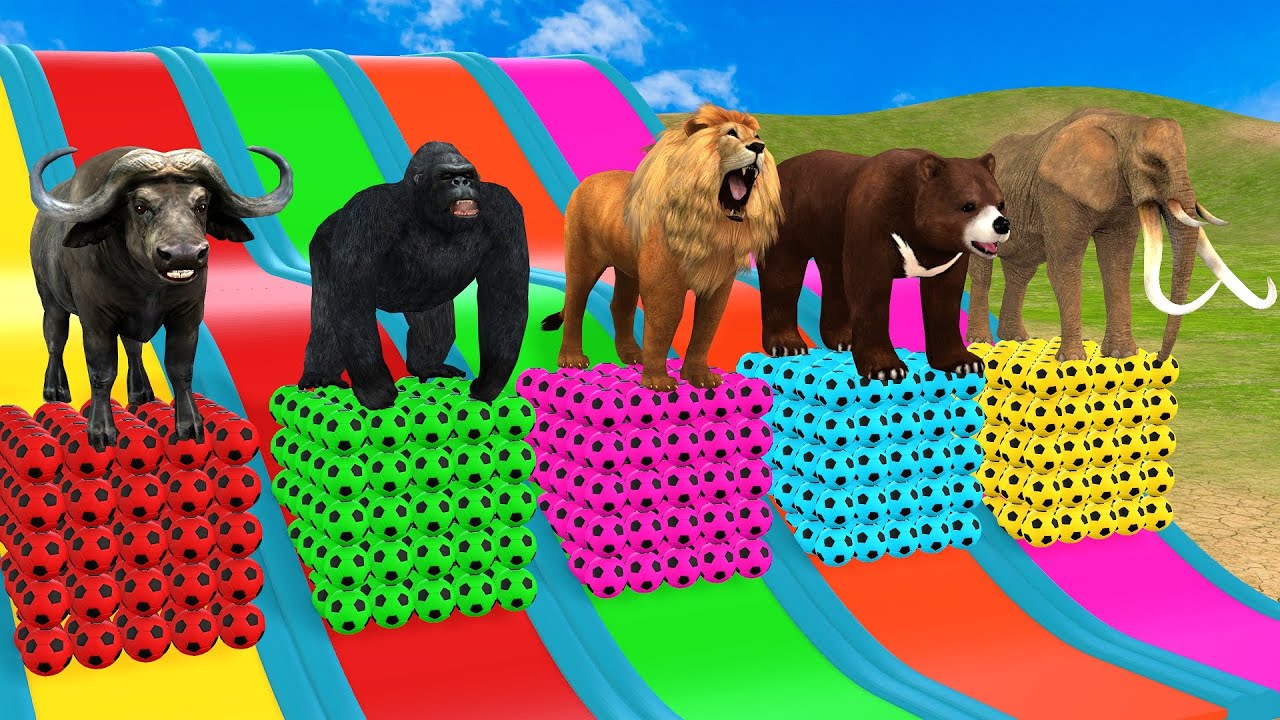 Long Slide Game for 3d Animals: Cow Elephant Tiger Gorilla Hippo. Funny ...