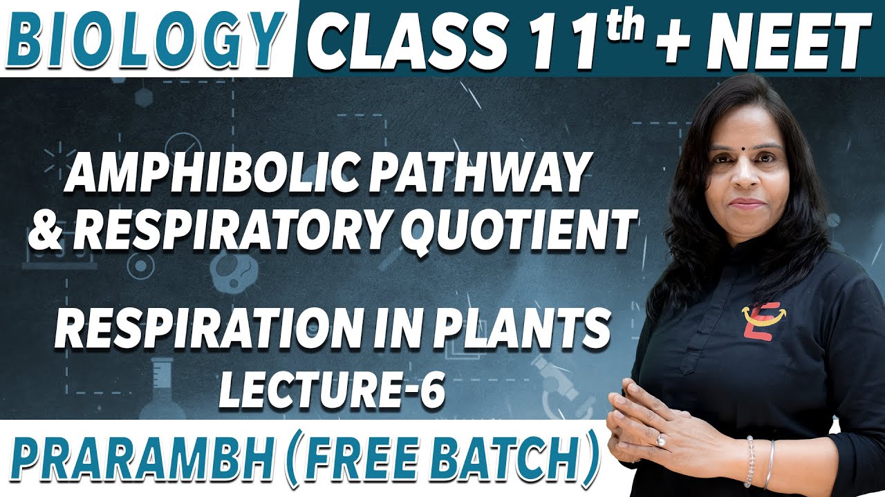 Amphibolic Pathway & Respiratory Quotient - Respiration in Plants - 6 ...