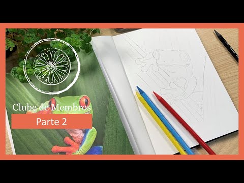 🔴 Rã colorida - mistura de cores básicas - parte 2 - YouTube