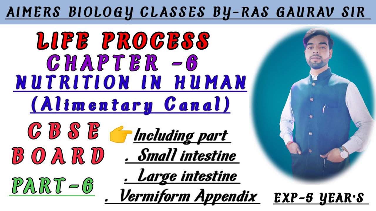 Life process class -10/Alimentary canal/Small Intestine/Large intestine ...