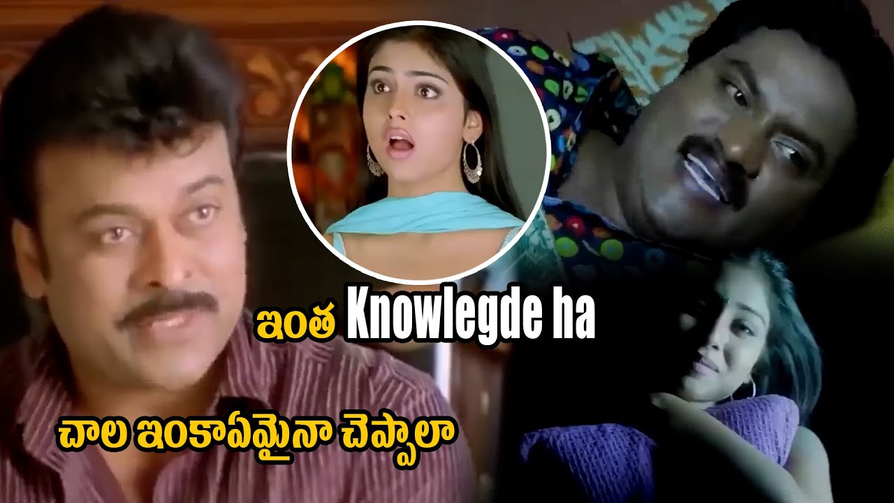 Sunil Makes fun of shriya saran and Chiranjeevi's Conversation super ...