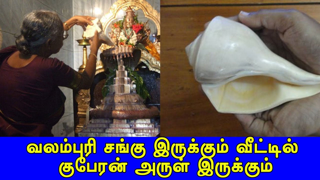 Conch Shell Siddha Secrets And Conch Shell Sangu, Shankha, , 55% OFF