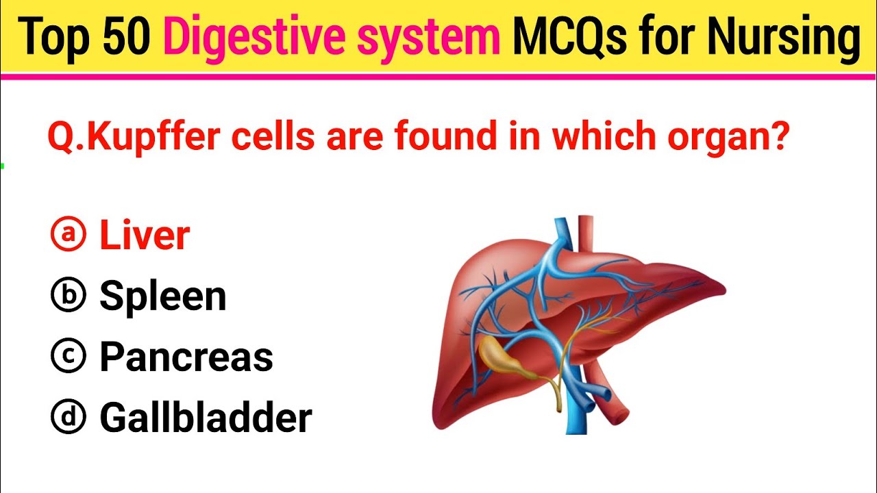 Digestive system mcqs for bsc nursing | Digestion mcqs for PGIMER ...