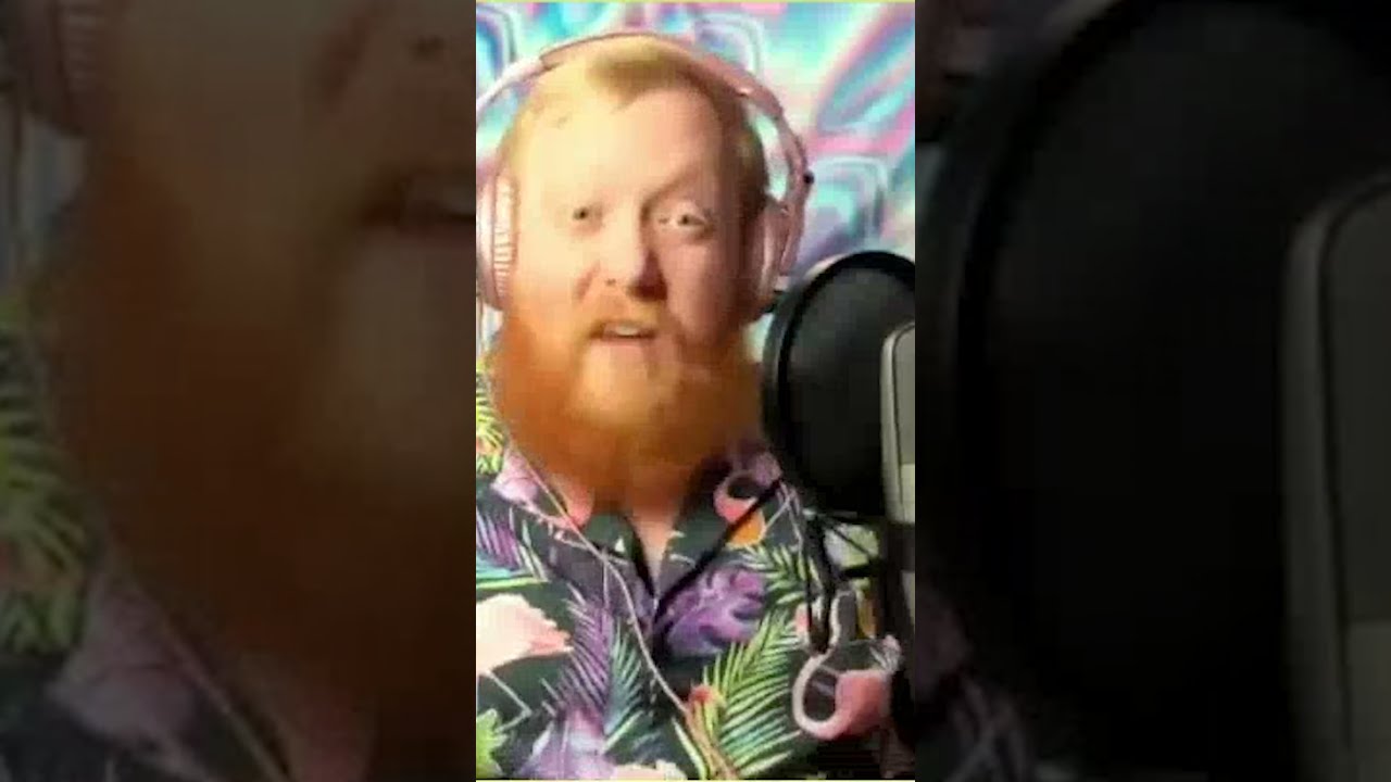 Casey Hamilton recounts the nightmarish plots of the Cool Cat films | # ...