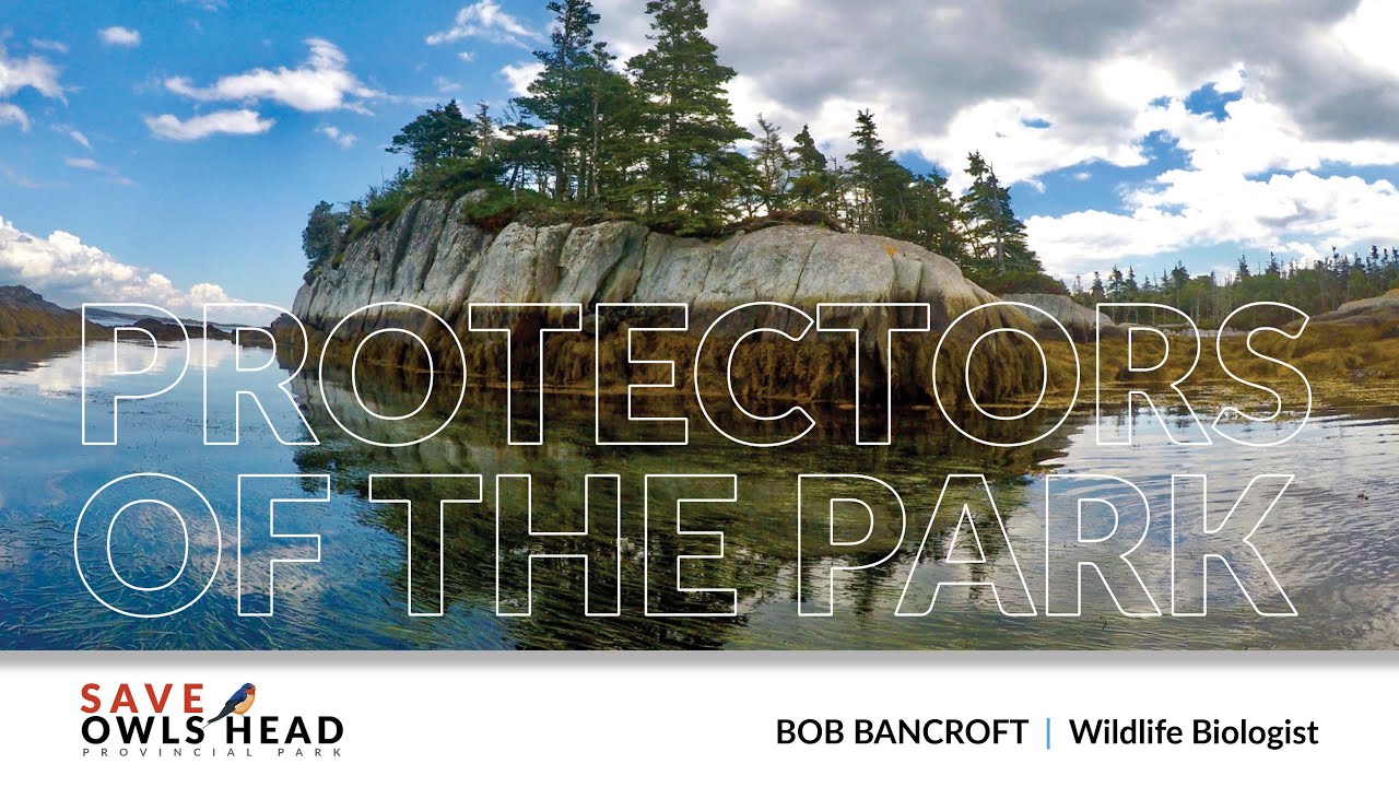 Bob Bancroft - Protector of the Park - YouTube
