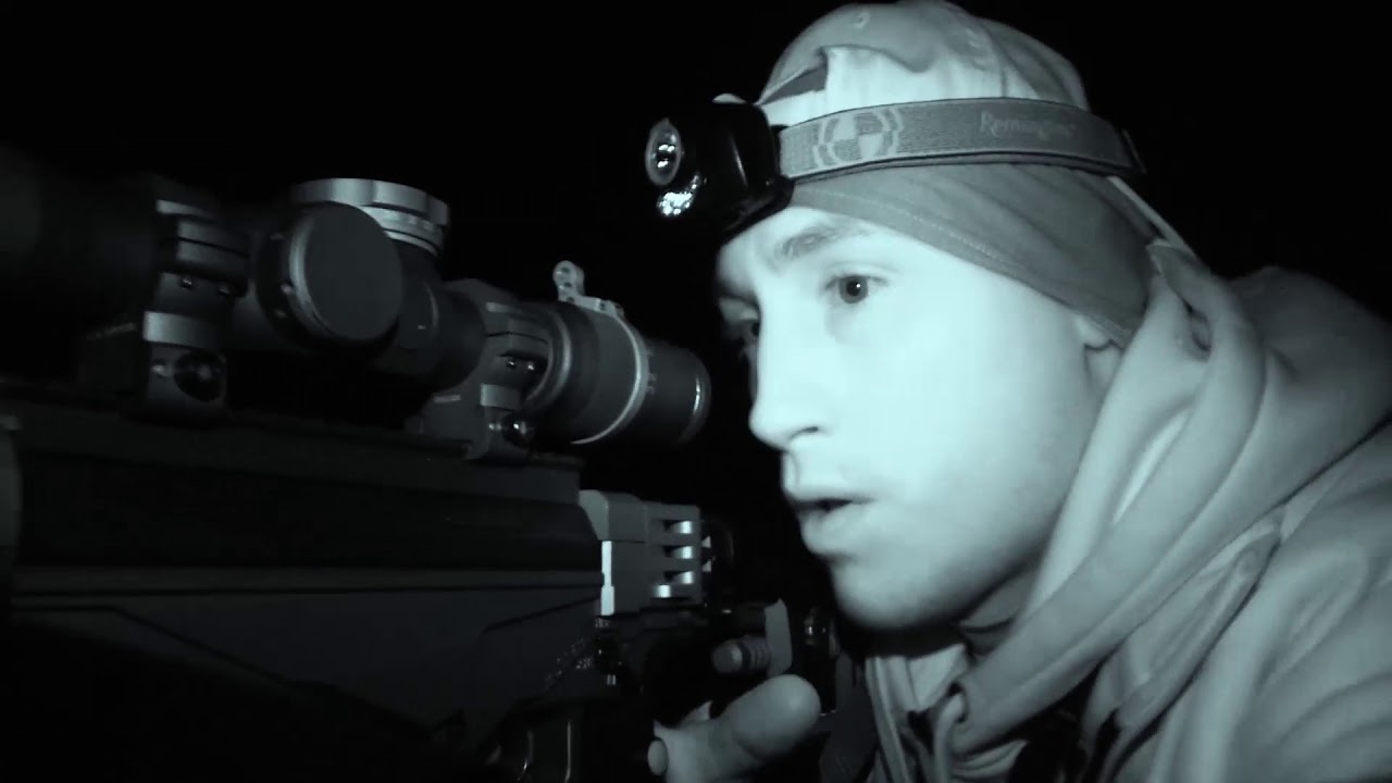 Pennsylvania/Virginia Fox - YouTube