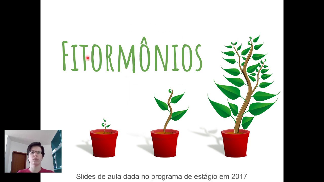 Aula de Fisiologia Vegetal - Fitormônios - YouTube