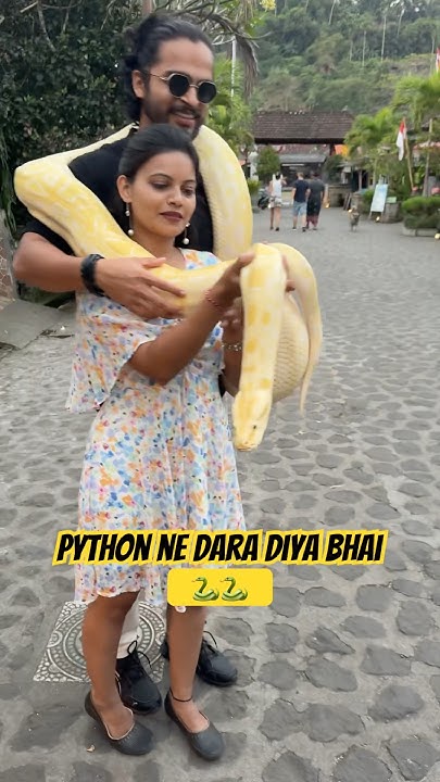 Wait for it 😂😂 #python #snake #animals #snakevideo #shorts #wildlife #youtubeshorts - YouTube