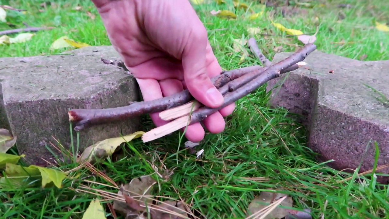 How-to Efficiently Process Twigs To Fuel A Twig Stove For Emergency ...