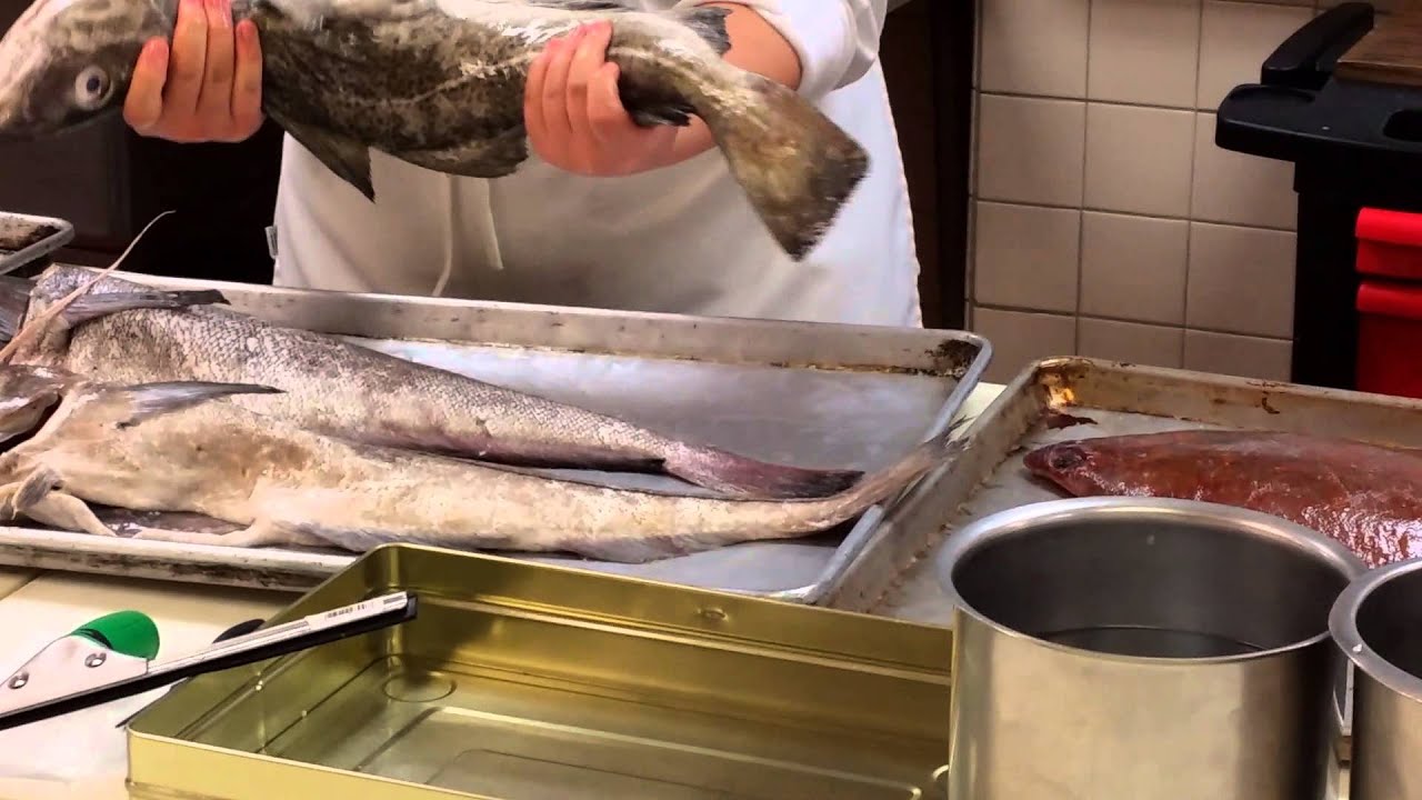 COD Fish Family - YouTube