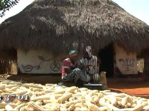 ABOUBAKAR BABADJO- FADI BELAADO