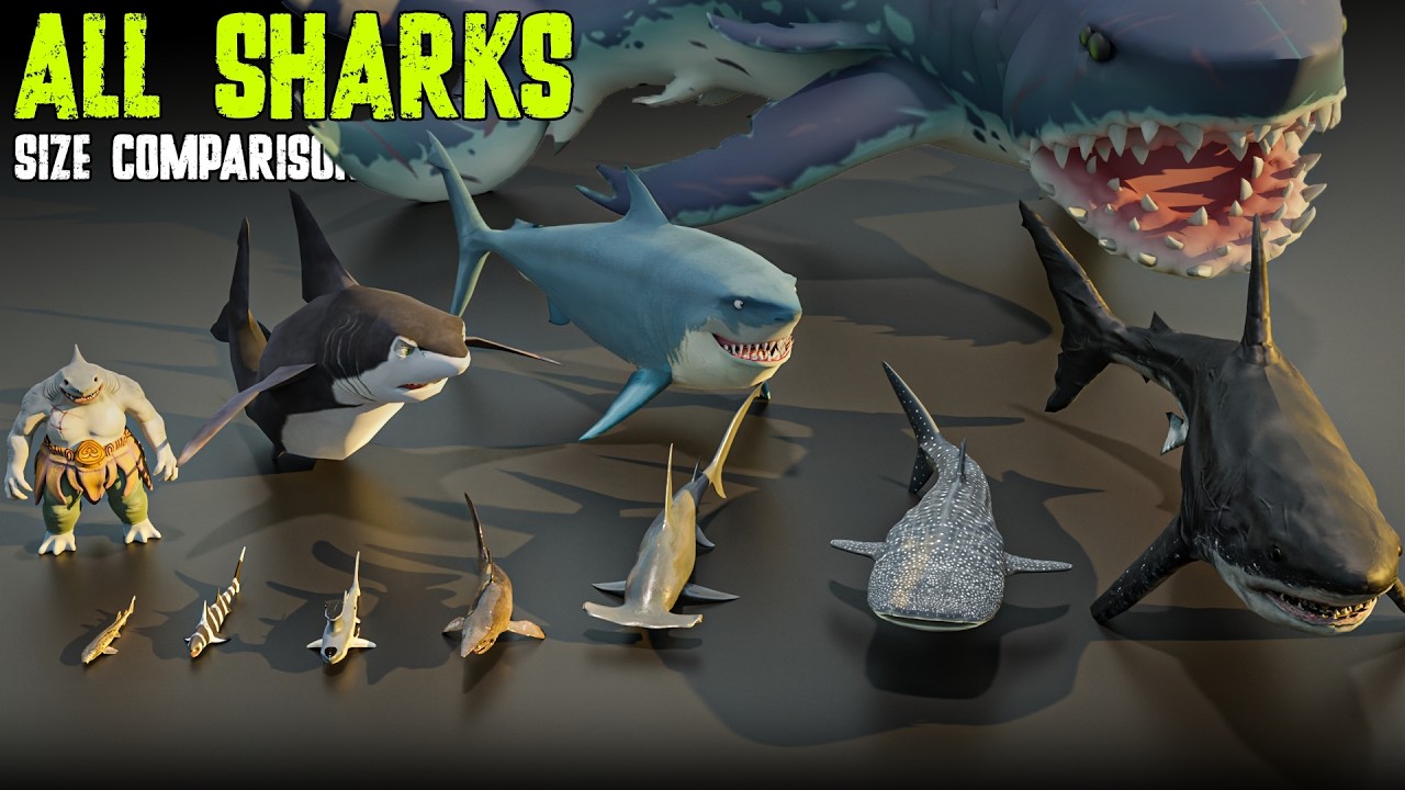 Shark Size Comparison – Real, Extinct & Fictional Sharks - YouTube