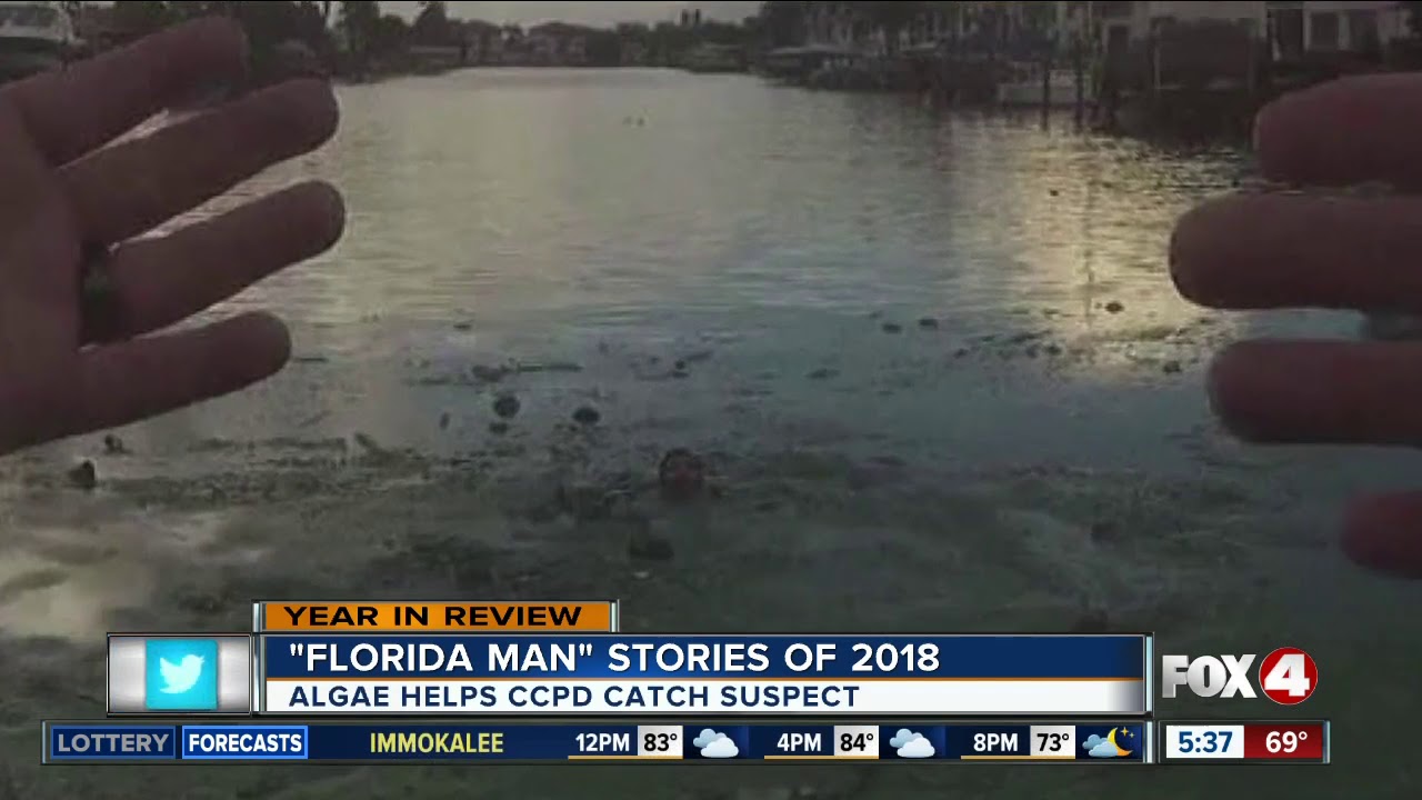 Strange stories in Florida in 2018 - YouTube