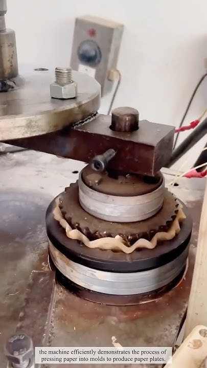 Paper Plate Manufacturing Process Using a Press Machine - YouTube