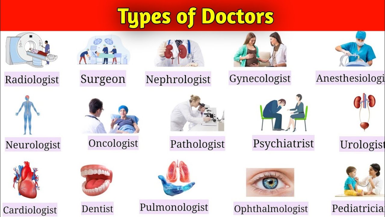 Types of Doctors || Different Types of Specialist Doctor #doctor - YouTube