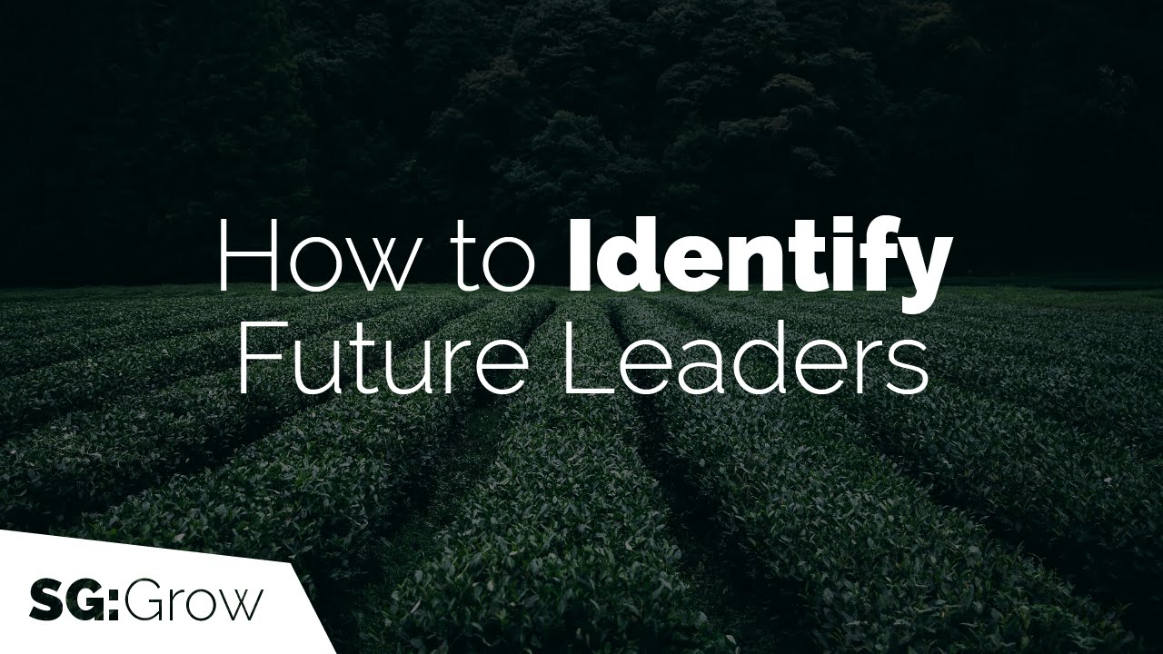 How to Identify Future Leaders - YouTube