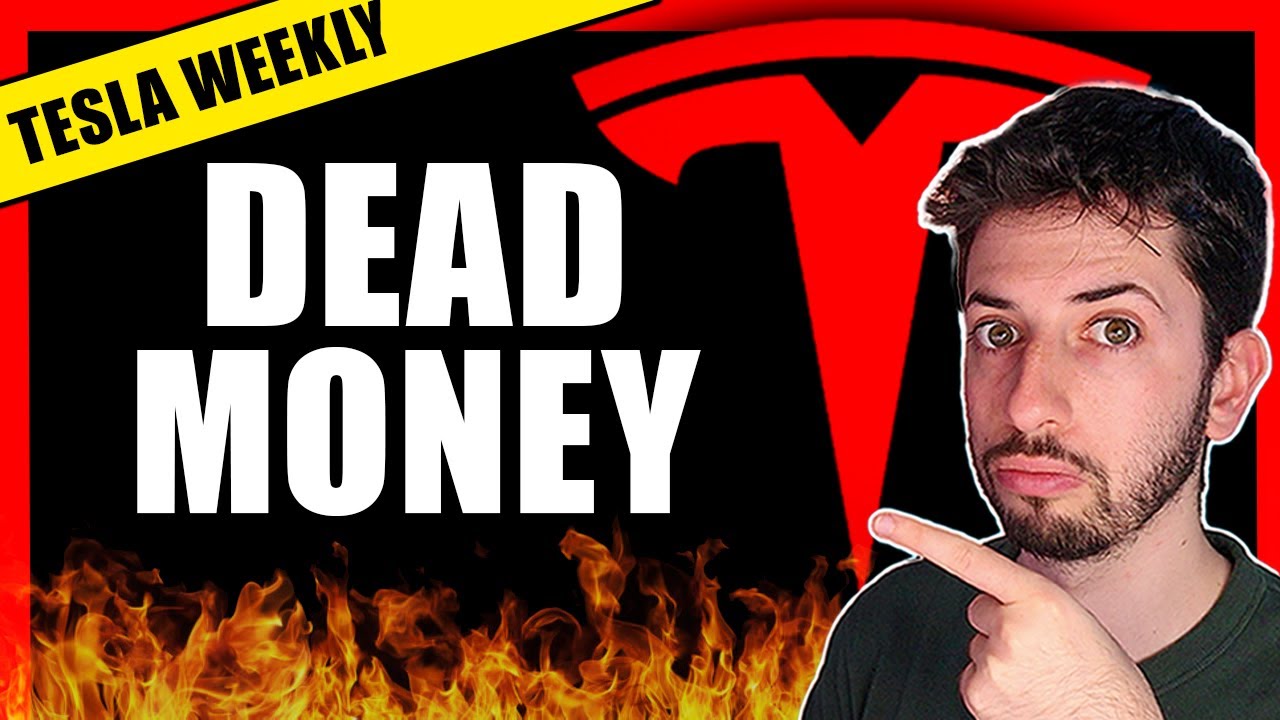 Is Tesla Stock Worth Your Money in 2024? - YouTube