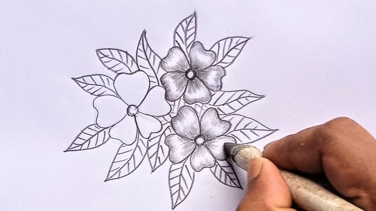 how to draw flowers step by step for beginners ll Easy flower drawing ...