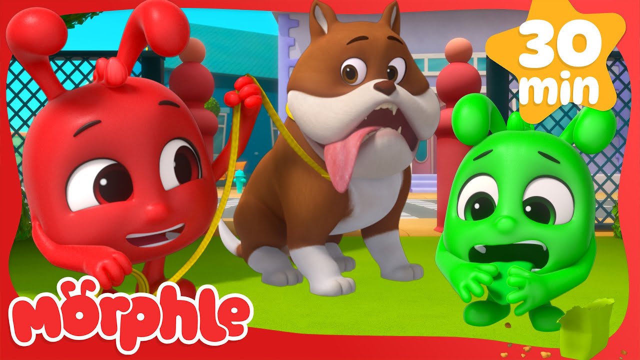 🐶 Morphle Takes the Dog for a Walk 🐶 | Cartoons for Kids | Mila and ...