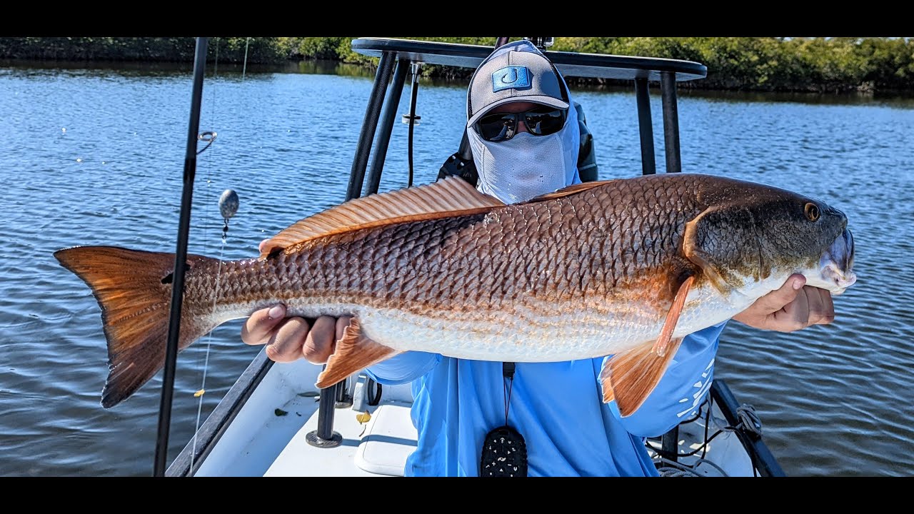 How to fish Crysal river - Ozello - Homosassa for Redfish and trout ...