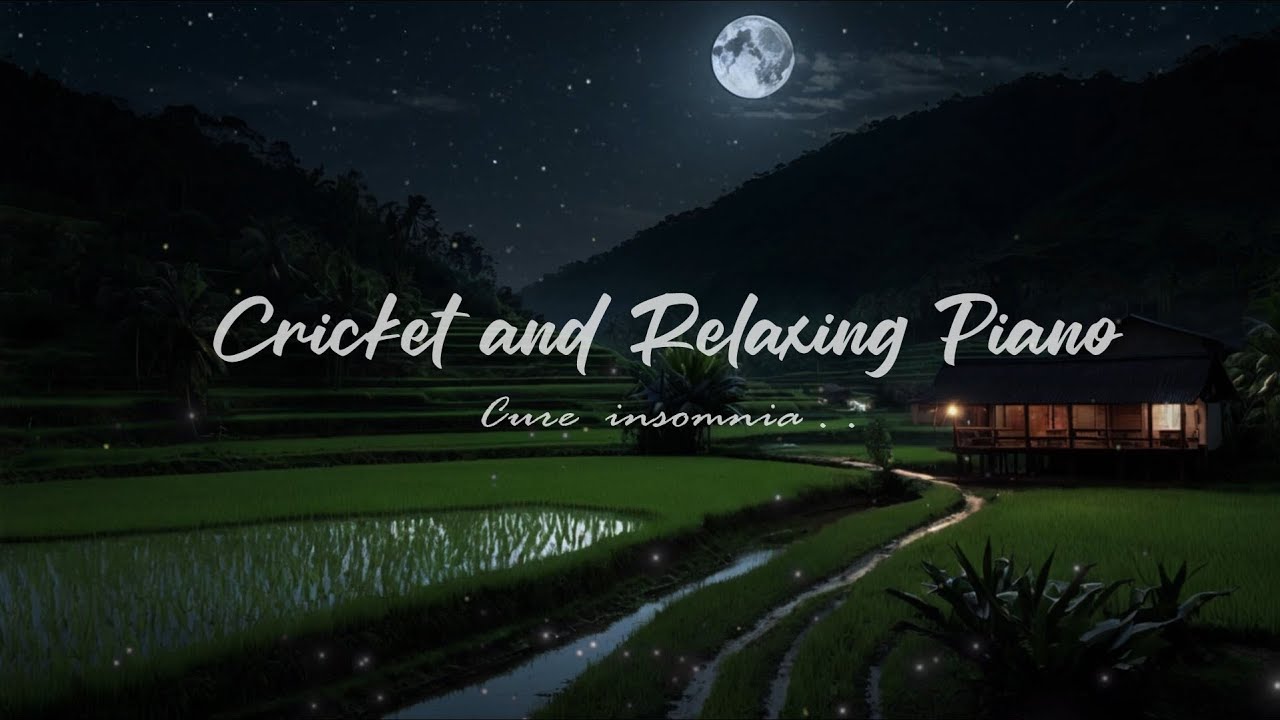 Nighttime Cricket ambient sounds - ASMR and Relaxing piano for stress ...