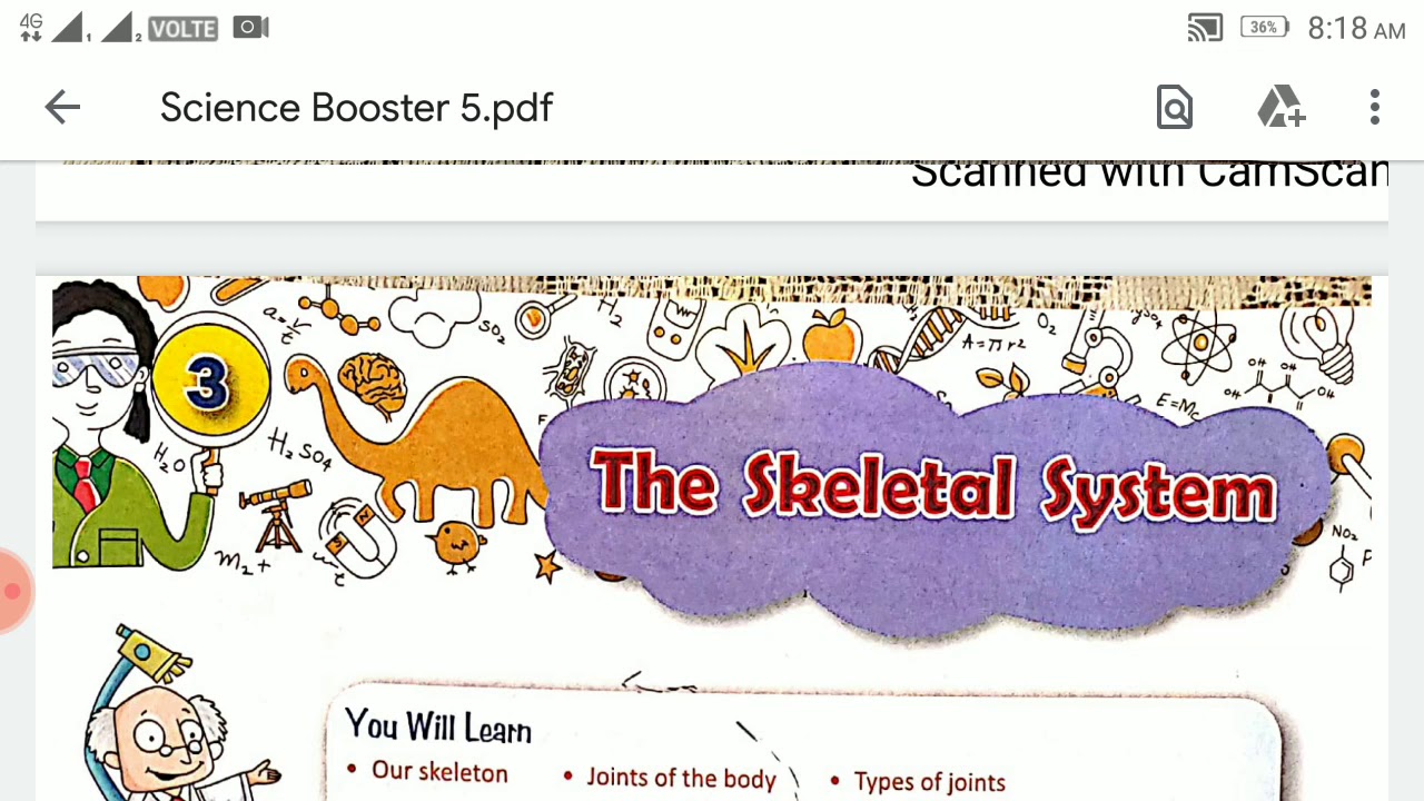 Ch-3: The Skeletal System (class 5) - YouTube