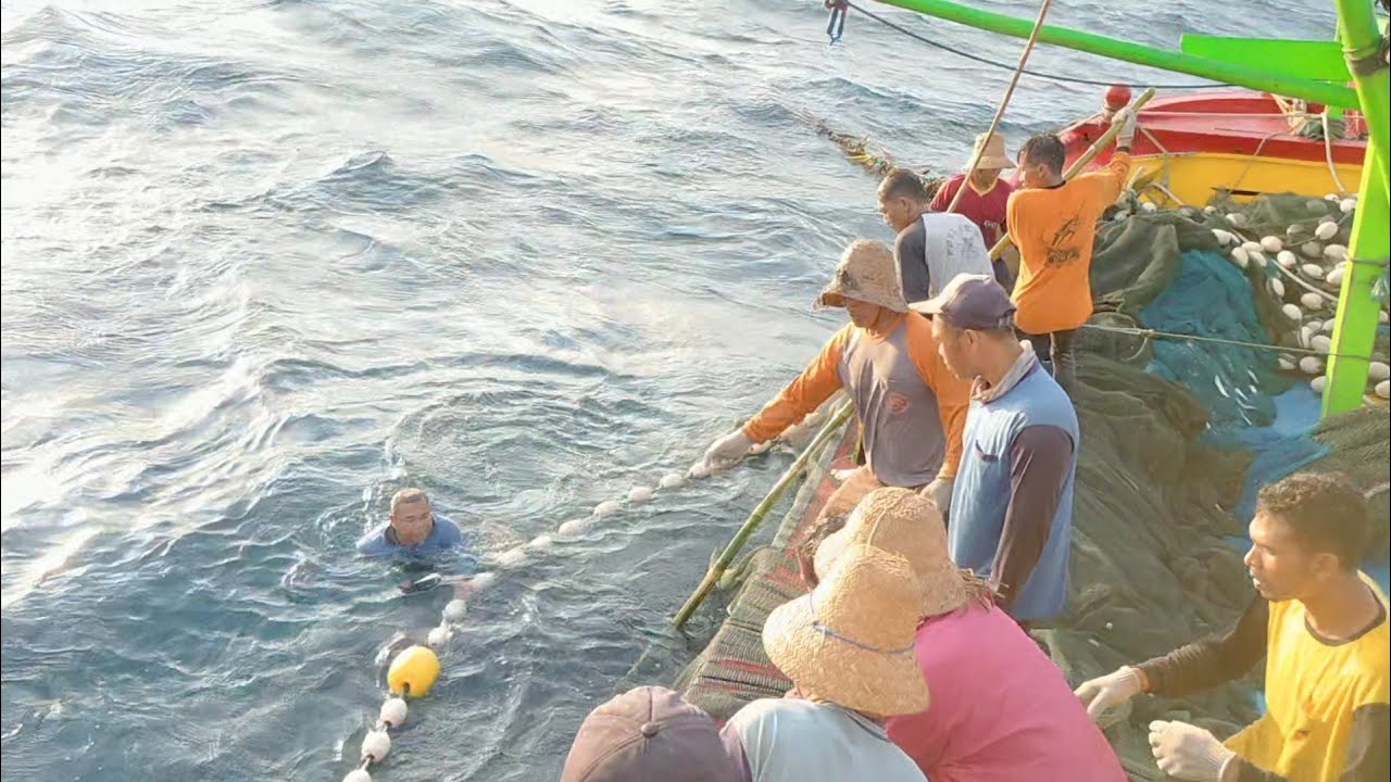 Gak di Sangka⁉️ Sekali Panen Ikan Semua Palka Penuh - Cupliz Ahmad ...
