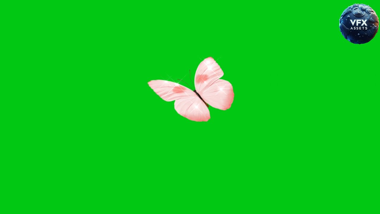 Pink Butterfly Green Screen #greenscreen #greenscreenfootage # ...