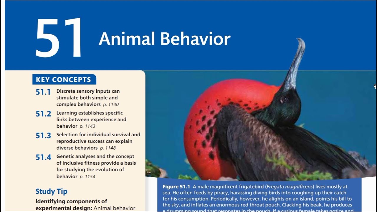 Olimpíada Brasileira de Biologia (OBB) | 19 - Fase 2A | - YouTube