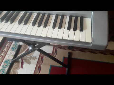 KORG PA50 ViNIL 2021