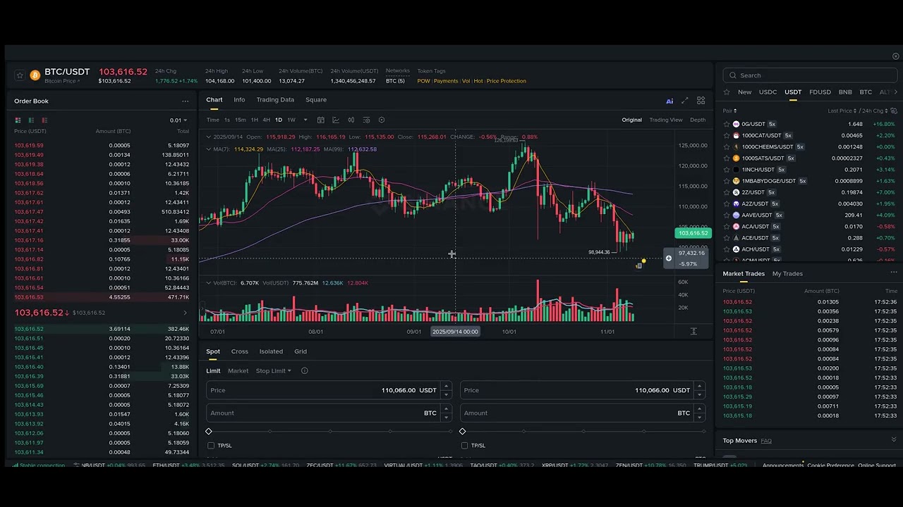 LIVE BTC/USDT CHART: Real-Time Bitcoin Price Tracker (Current Market ...