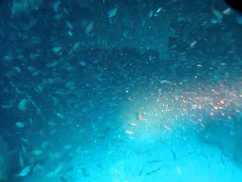 SS Bombo shipwreck - YouTube