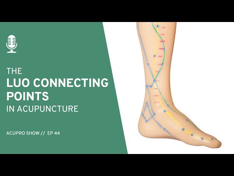 44: The LUO Connecting Points in Acupuncture - YouTube