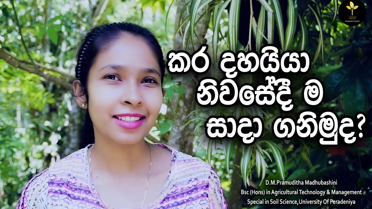 ගෙදරදිම කරදහයියා හදා ගනිමුද? | How to make kara dhahaiya in Sinhala ...