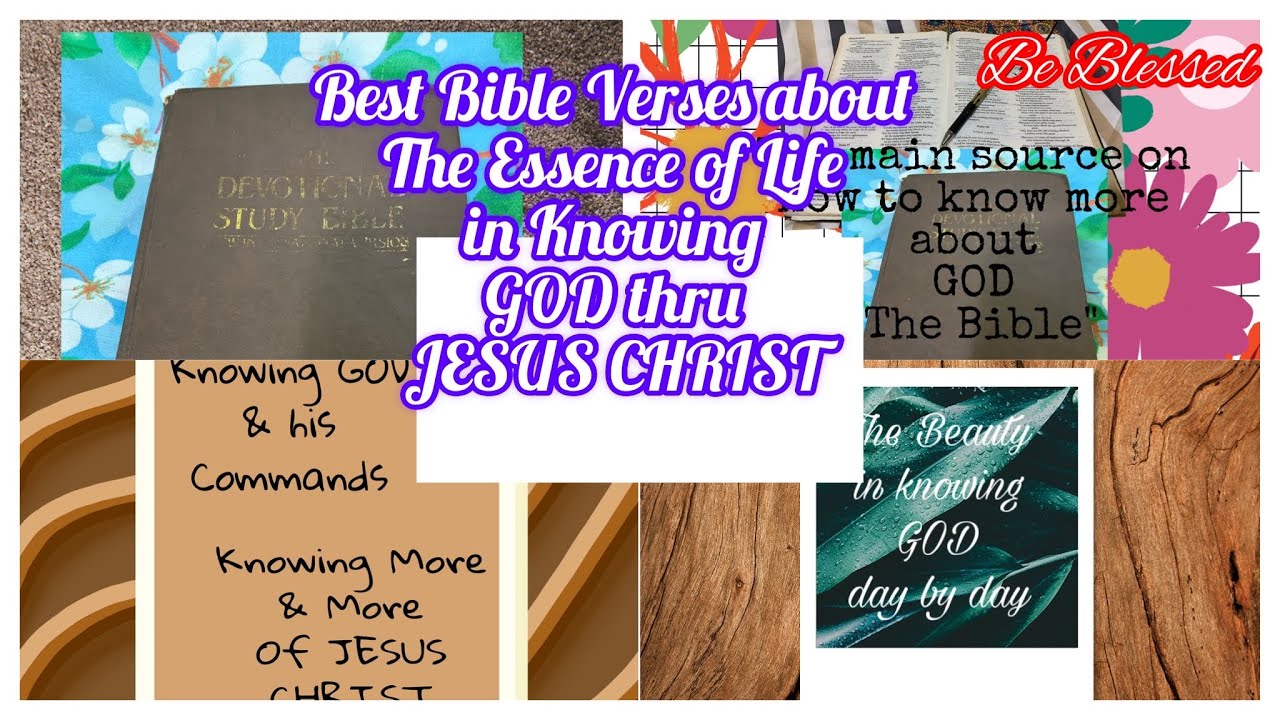 Best Bible Verses about The Essence of Life in Knowing God thru Jesus ...