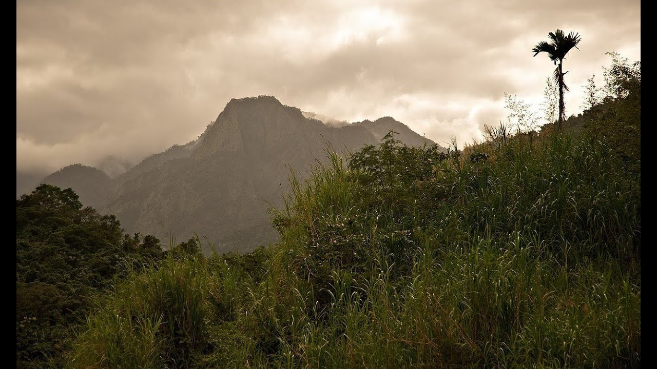 Discovery of 6,000-year-old Skull Confirms Legend of LOST TRIBE in ...