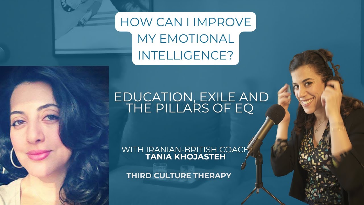 #03 How can I improve my emotional intelligence?’ Education, exile and ...
