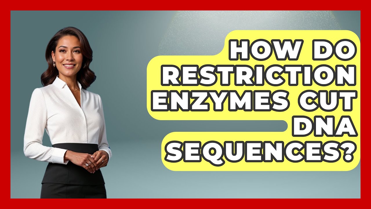 How Do Restriction Enzymes Cut DNA Sequences? - Biology For Everyone ...