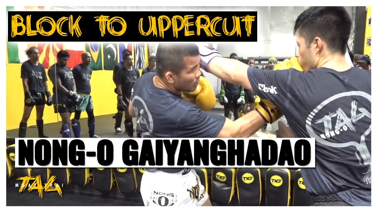 Pillar Block to Uppercut & Kick Combo with Nong-O Gaiyanghadao - YouTube