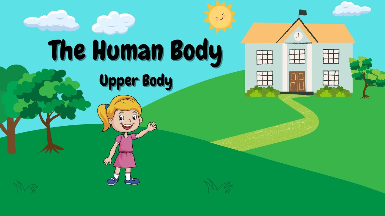 The Human Body: Upper Body | Parts of the Body | English | ELL | Pre-K ...