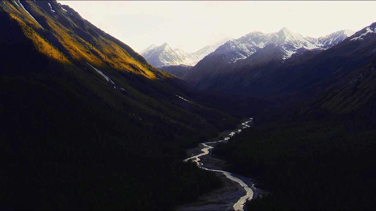 IGOR BATOG - NIE ZABIERAJ ŻYCIA (Official Video) - YouTube