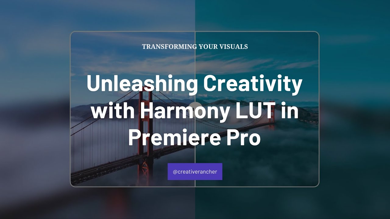 Transforming Your Visuals: Unleashing Creativity with Harmony LUT in Premiere Pro - YouTube