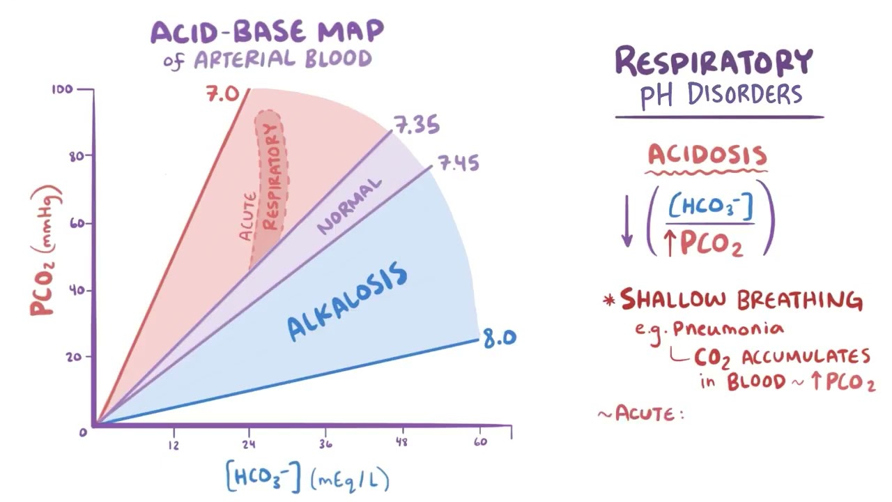 Acid base map and compensatory mechanisms by Osmosis - YouTube