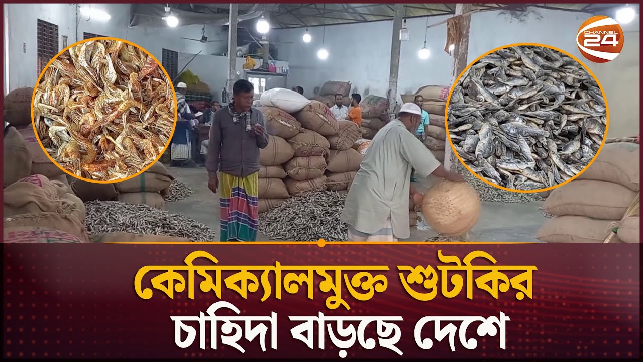 কিশোরগঞ্জে দিনদিন জনপ্রিয় উঠছে কেমিক্যালমুক্ত শুটকি | Dry Fish ...